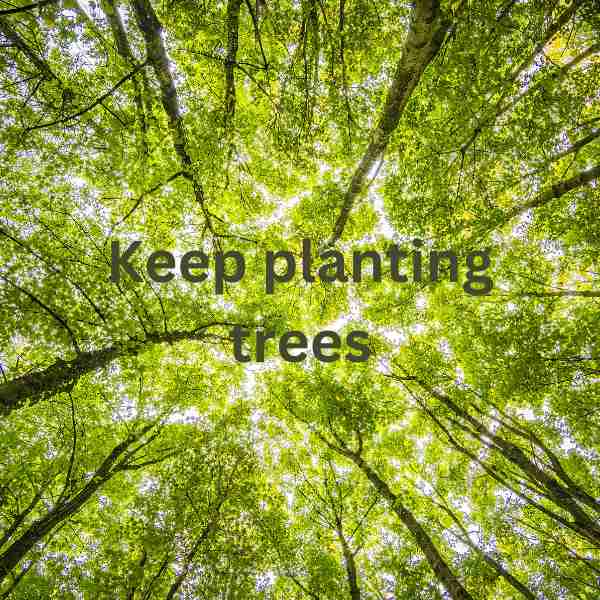 Home - Clearwater Electrical